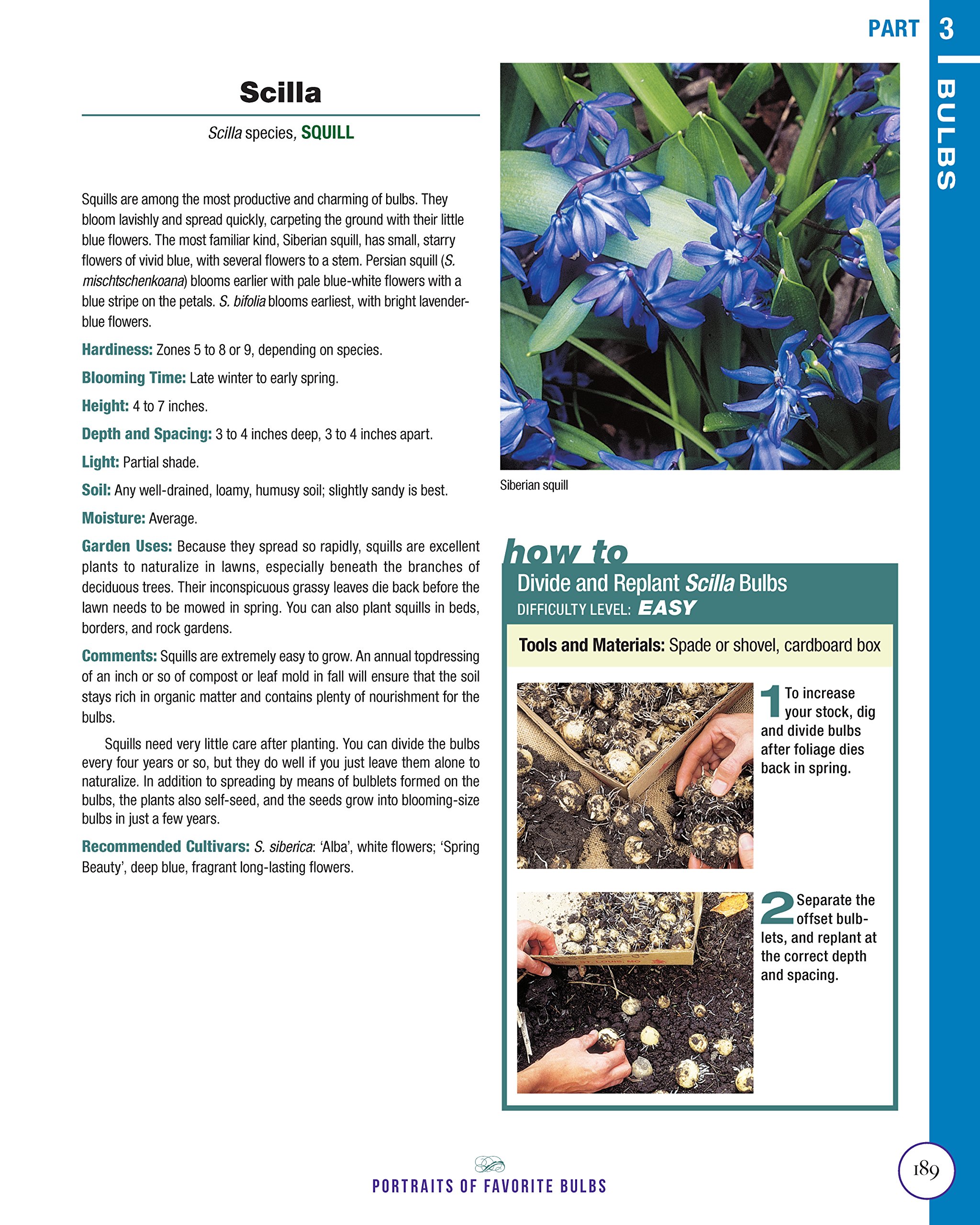 Favorite Books for Simple Flower Gardens - A BOX OF TWINE